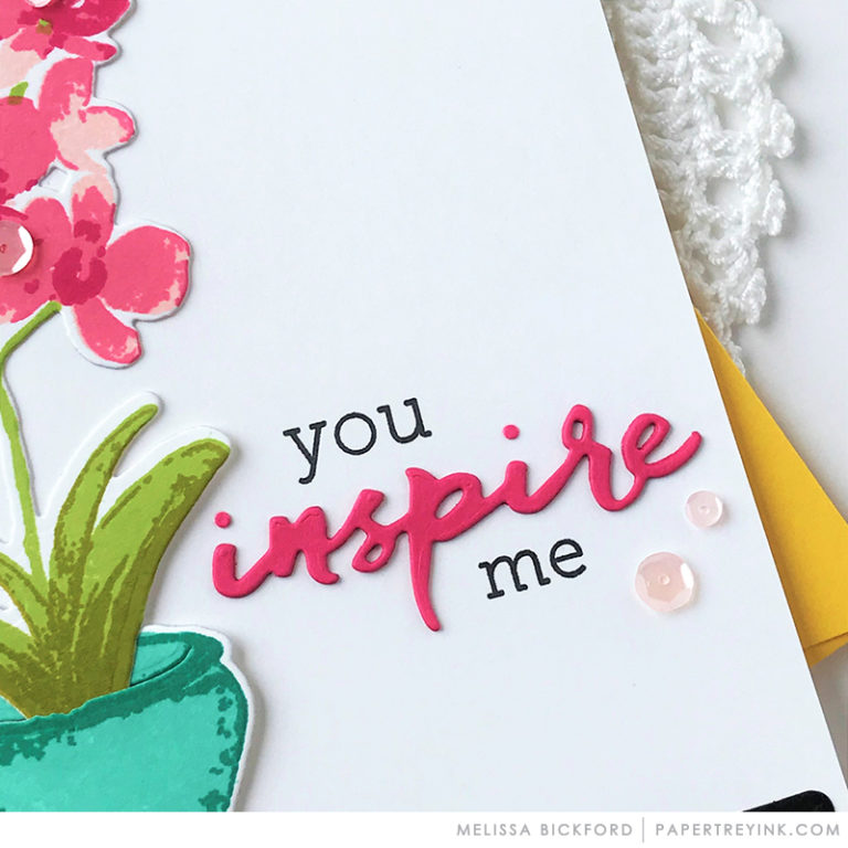 Sentimental Expressions for Any Occasion