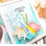 Message In a Bottle + Inside Greetings: Summer + Summer Shells + Just ...