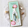 Message In a Bottle + Inside Greetings: Summer + Summer Shells + Just ...
