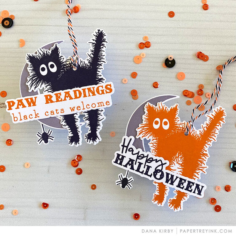 Storybook Halloween + Haunted House + Boo Black Cat + Cover Plate: Pumpkins