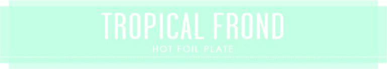 Scribble Balloons + Tropical Frond