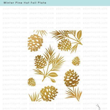 Hot Foil Plates: Why You Need Them and How to Use Them